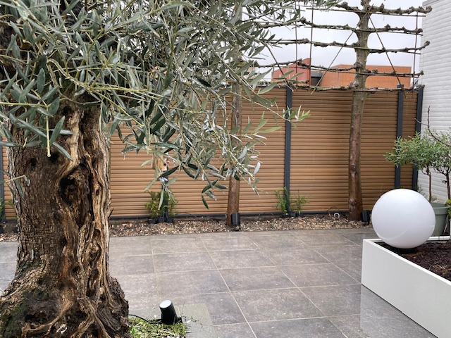 WPC-Zaun Rhombus Teak – MT Zaune