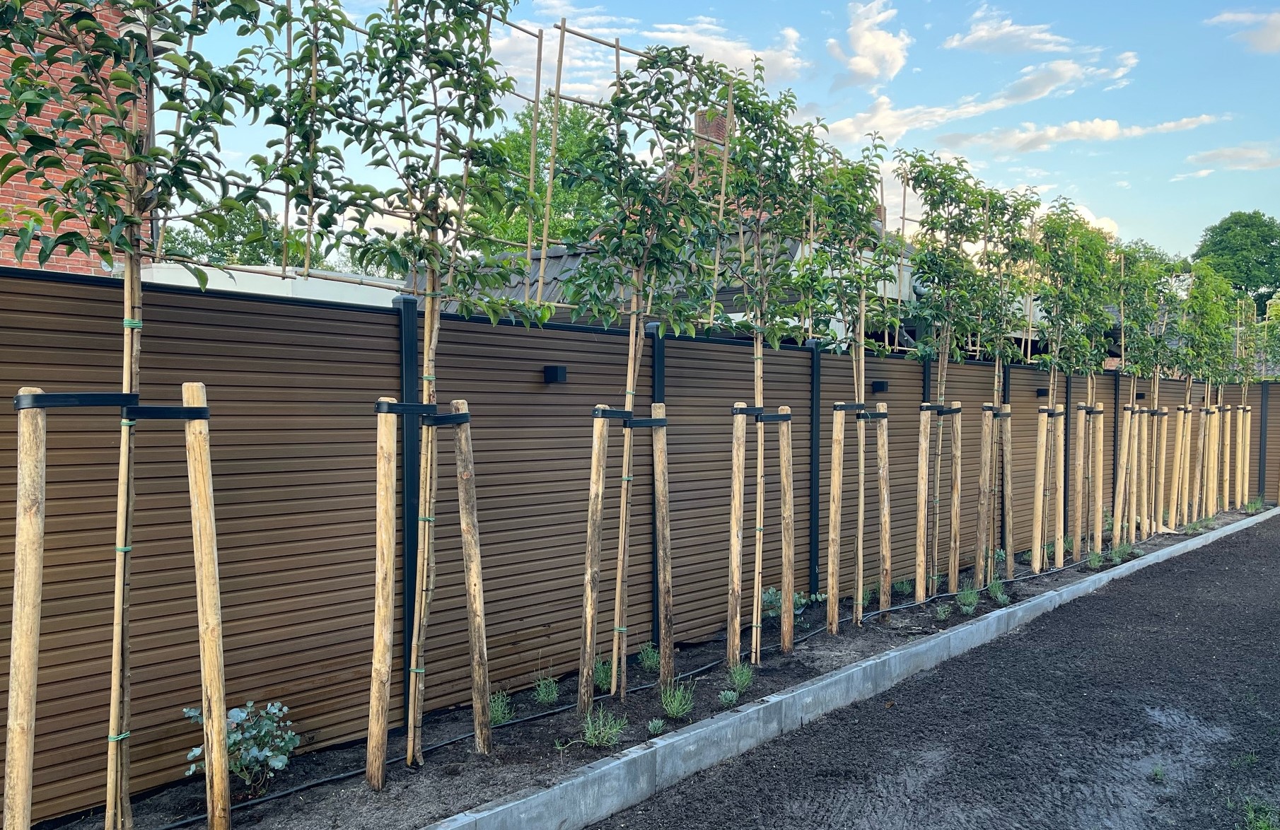 WPC-Zaun Rhombus Teak – MT Zaune